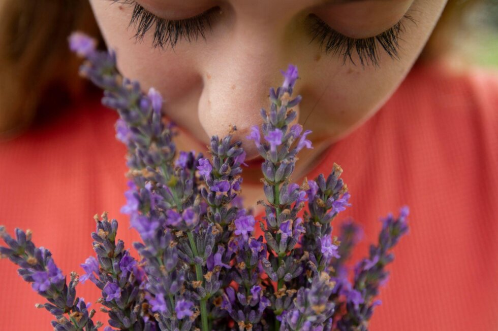 The Power of Scents: How Fragrances Affect Mood and Attraction – SoCal ...
